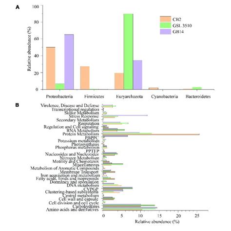A Phylum Level Classification Of The Bacterial And Archaeal