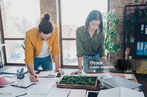 자연광이 들어오는 현대적인 사무실 환경에서 프로젝트를 공동 작업하는 젊은 전문가들이 있는 코워킹 스페이스 20 24세에 대한 스톡 사진 및 기타 이미지 Istock