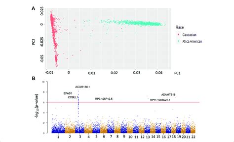 Population Stratification Of Two Main Races And Manhattan Plots Of Gwas