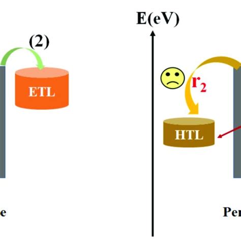 The Schematic Of Energy Structure And Carriers Transfer Processes In