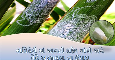 કષ સવ ગજરત