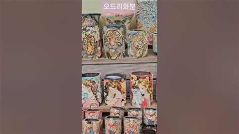 멋진 오드리화분~😍 다육들의향연 오드리화분 Youtube