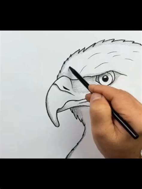 How To Draw The Prussian Eagle