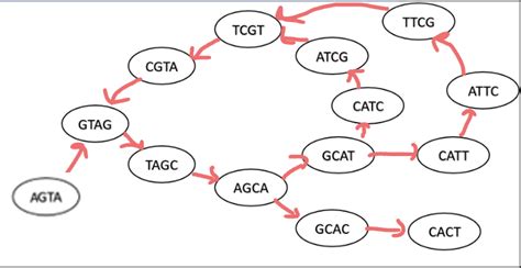 Solved Consider The Following De Bruijn Graph How Many