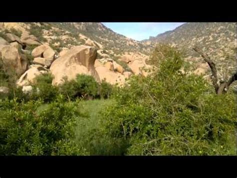 وادي ظفررر wmv YouTube