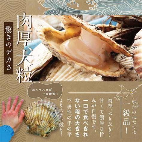 【ホタテ禁輸措置生産地支援品】 禁輸に負けない！ 食べ応え抜群！ 特大 ホタテ貝柱 500g 北海道野付産 野付の 帆立 を知り尽くす 野付