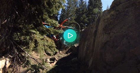 Shred The Gnar  On Imgur