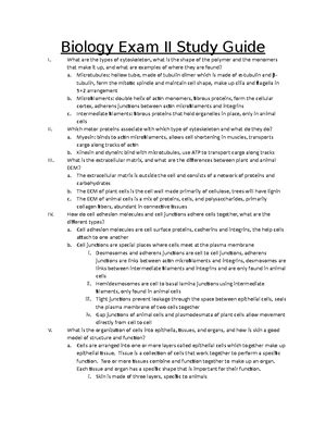 The Genetic Code And Protein Synthesis The Genetic Code And Protein Synthesis Outline O Studocu