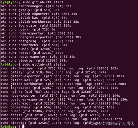 本地GitLab服务器搭建 Coder个人博客 博客园