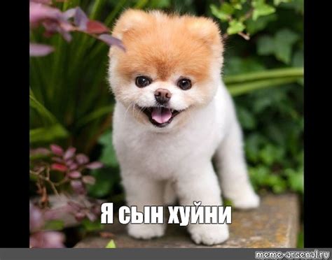 Мем Я сын хуйни Все шаблоны Meme