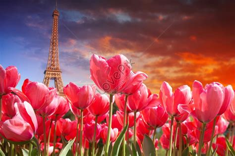 멋진 풍경이 있는 파리의 유명한 에펠탑 사진 사진 무료 다운로드 Lovepik