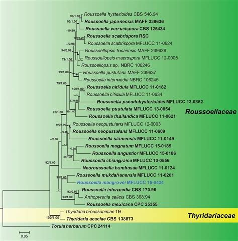 The Best Scoring Raxml Tree Based On Combined Partial Lsu Ssu Its
