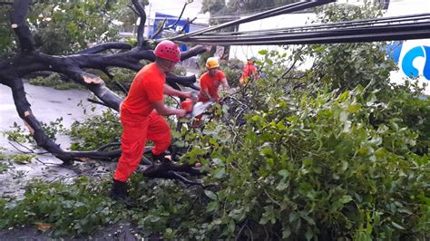 Protección Civil Contabiliza 56 Viviendas Afectadas Por Lluvias