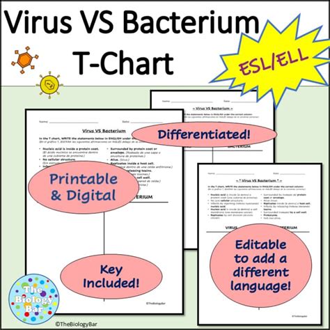 Esl Ell Support Biology Viruses And Bacteria Comparison T Chart Tpt