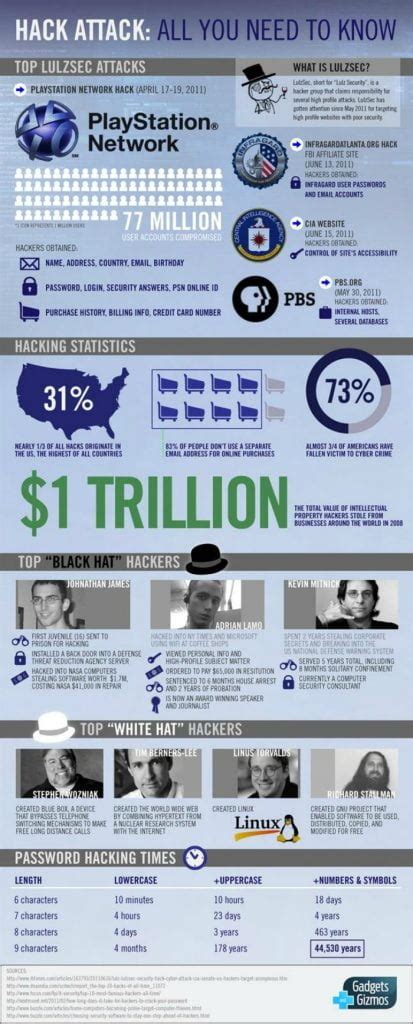 Overview Of Hacking In 2011 [infographic]