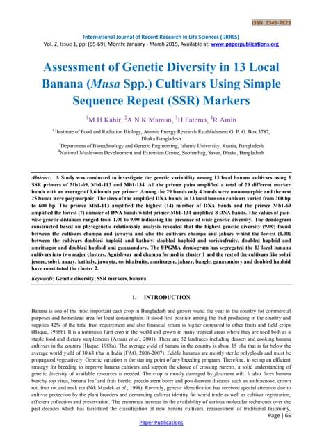 Assessment Of Genetic Diversity In 13 Local Banana Musa Spp
