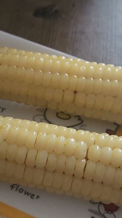 찐옥수수 맛있습니다 Youtube