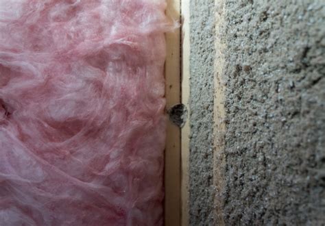 Can You Blow Cellulose Over Fiberglass 4 Things To Know Greenfiber