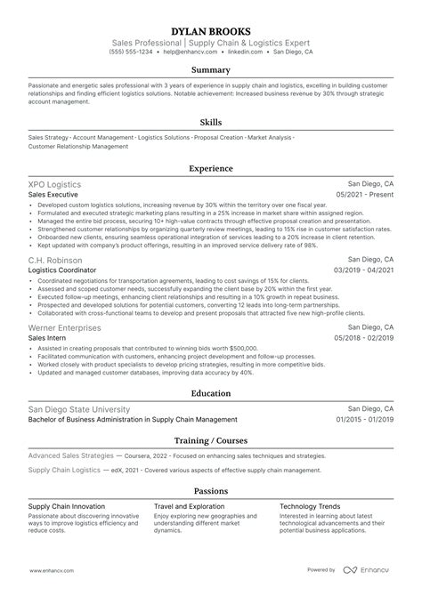 1 Successful Regional Account Executive Resume Example And Writing Tips