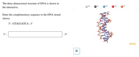 Solved The Three Dimensional Structure Of Dna Is Shown In