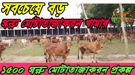 ১৫০০ গরুর মোটাতাজা করন প্রকল্প আলমগীর রেঞ্চ দেশের সর্ববৃহৎ ও আদর্শ