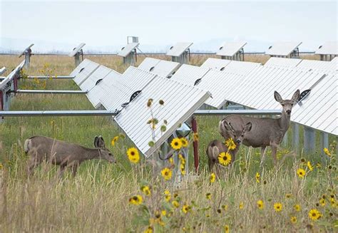 Doe Announces Grid Modernization Randd Projects Partners And Funding