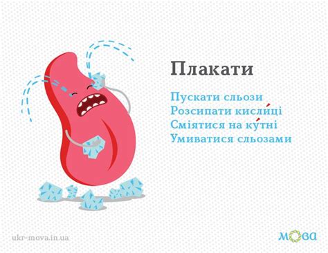Фразеологізми зі значенням «плакати Лэпбук Украинский язык Школа