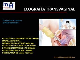 Exploracion Ultrasonografica En Obstetricia PPT