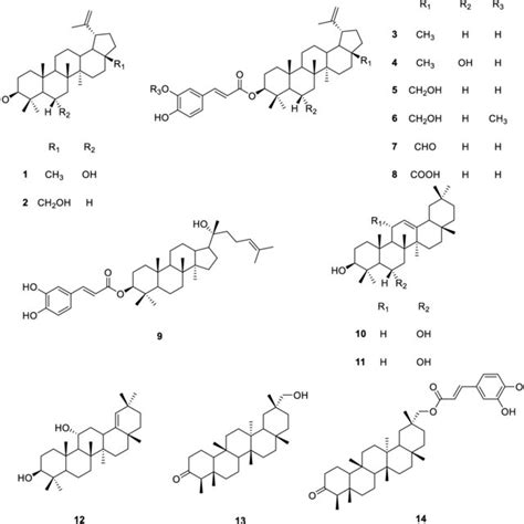 Structure Of Triterpenes 1 14 Isolated From C Orbicatus Download