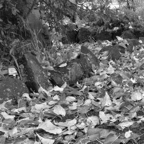 Irma Ramirez Youtube