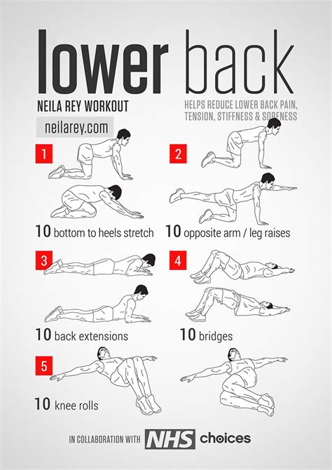 Lower Back Workout Back Exercises Exercise Lower Back Exercises