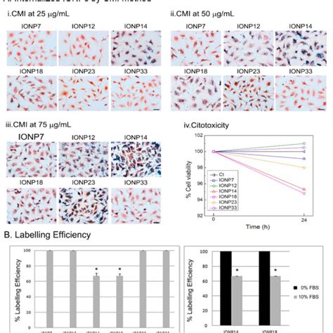 A Labelled Cells By Ionps Using Cmi Method Optical Images After