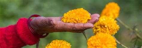 The Language Of Gender Based Violence Reporting Womankind Worldwide