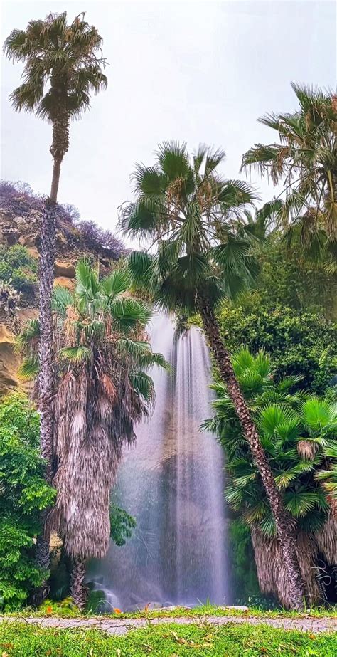 Denise Bernstein On Linkedin California