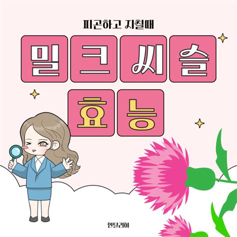 밀크씨슬 효능 지친 내 간을 위한 밀크시슬 간영양제 선물 네이버 블로그