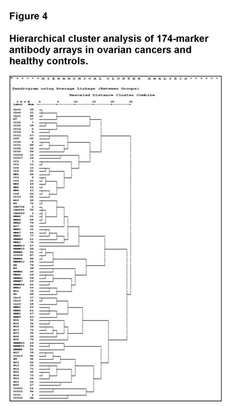 Hierarchical Cluster Analysis Of 174 Marker Antibody Arrays In Ovarian Download Scientific