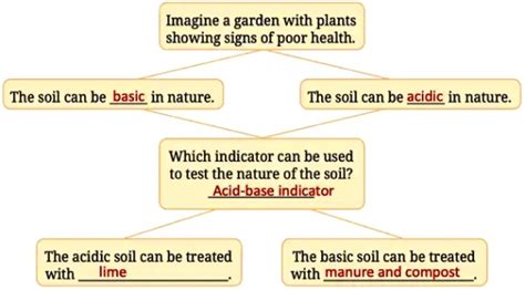 Ncert Solutions Class 7 Science Curiosity Chapter 2 Exploring