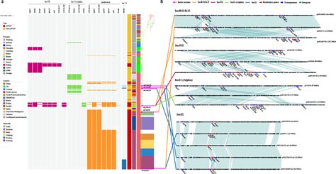 Plasmid Profiles And Pairwise Comparisons Of Plasmids Associated With