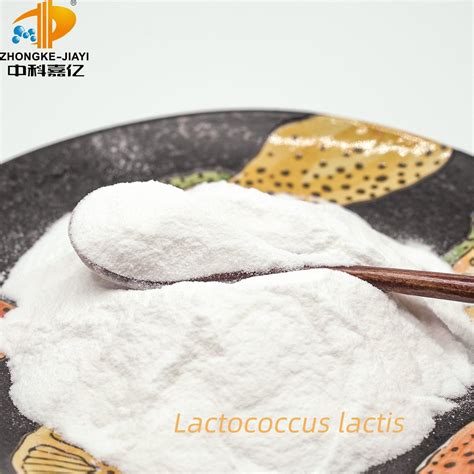 Freeze Dried Probiotic Powder For Lactococcus Lactis Food Grade