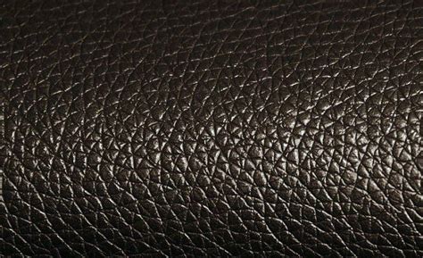 Шкіра та її замінники