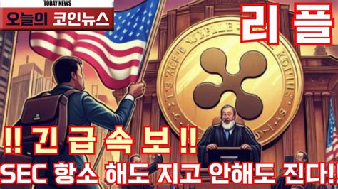 리플 Xrp 긴 급 속 보 Sec 항소 해도 지고 안해도 진다 Youtube