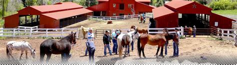 Animal Welfare Training Code 3 Associates Animal Welfare Training