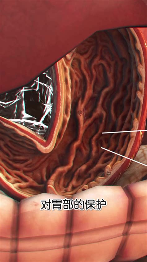 希洛施泮托拉唑钠肠溶片，快速缓解胃酸过多！