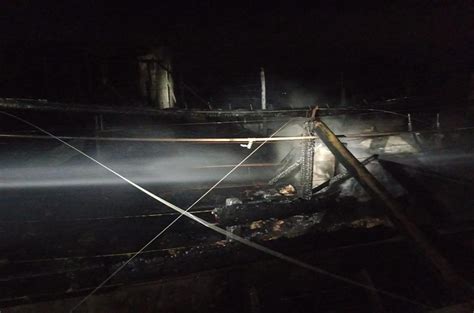 Murieron Más De 500 Cerdos En El Incendio De Una Granja Porcina Análisis