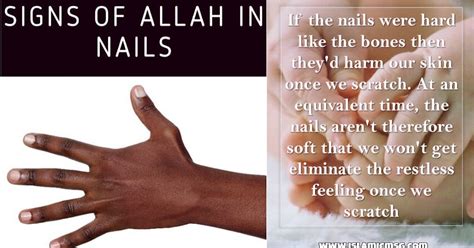 Sign Of Allah In Body Parts Nails Islam