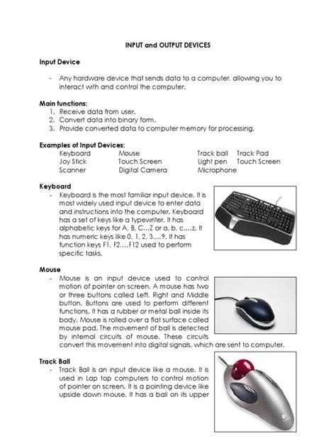 Input And Output Devices Input Device Pdf Printer Computing