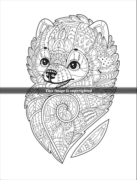 Dogs And Cats With Mandalas Special Art Coloring Books