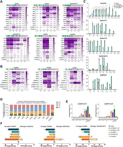 Discovery Of Deaminase Functions By Structure Based Protein Clustering Cell