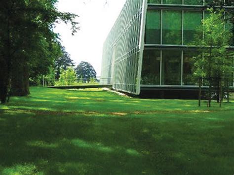 Bera® Grass Fix Eco Bera Bv