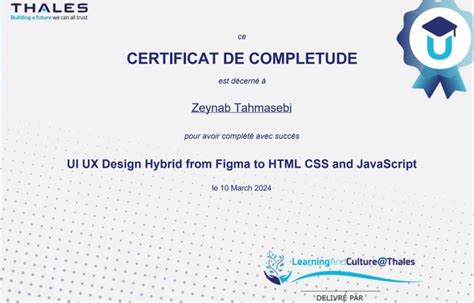 Im Excited To Share That Ive Completed A Certification In Ui Ux Design… Zeynab Tahmasebi